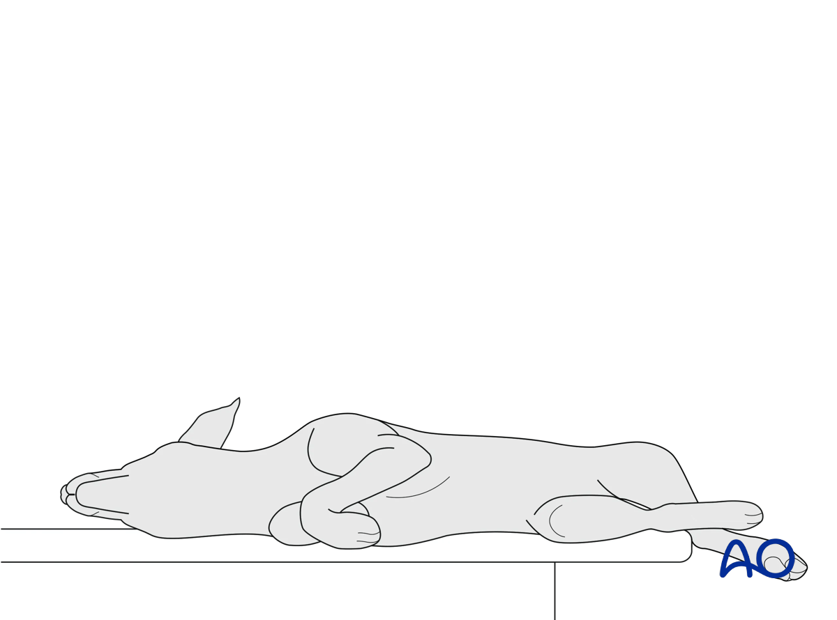 Lateral recumbency position