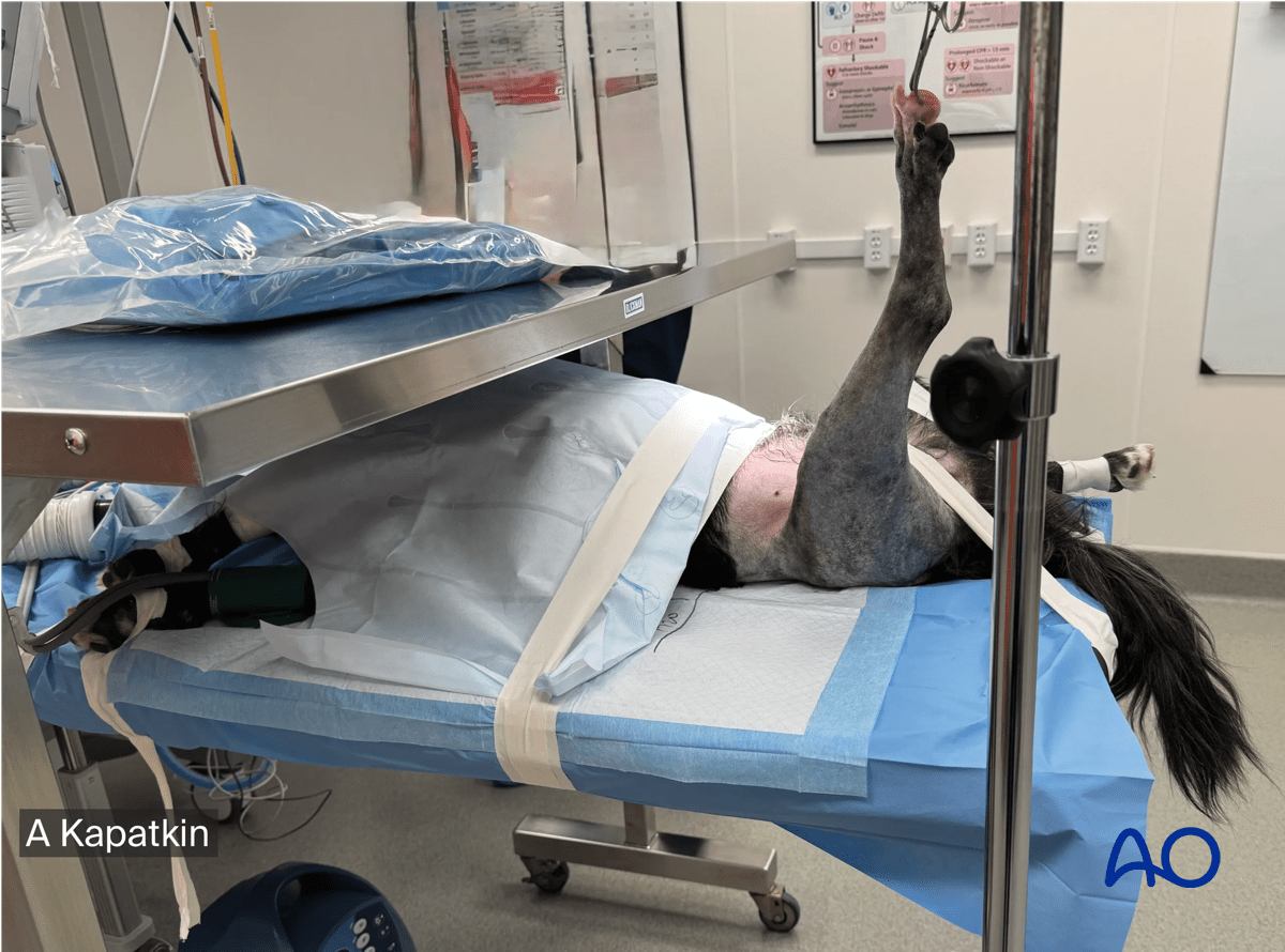 Lateral recumbency position